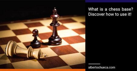 What is a chess base and what are the best ones? Discover it here!