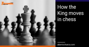 How the King moves in chess