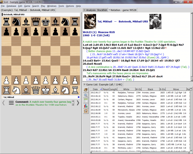 How to Use A Chess Database To Improve?