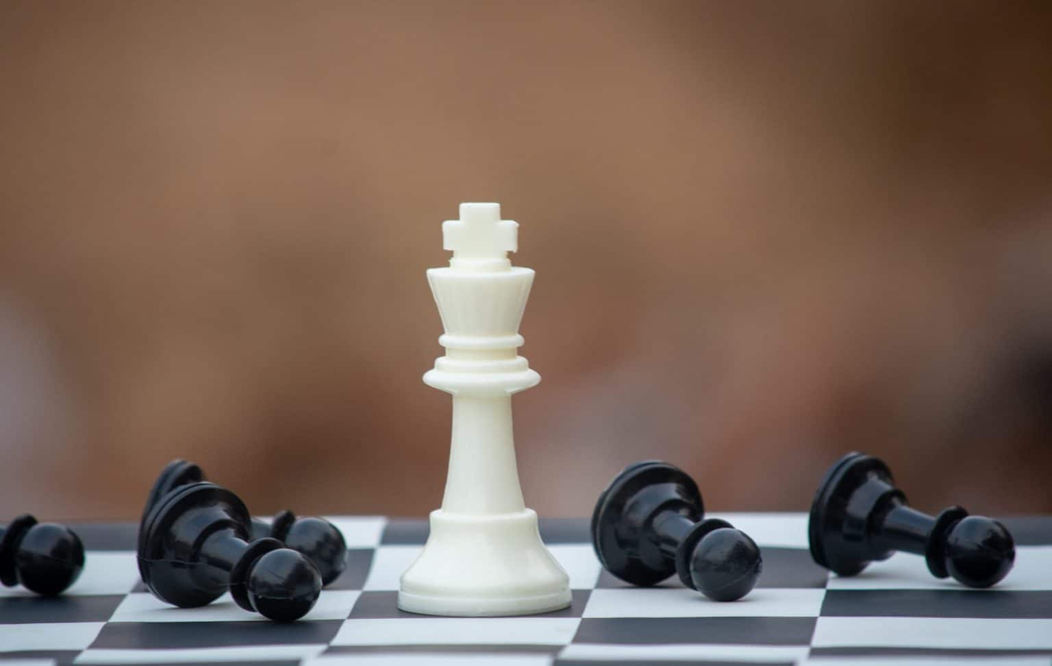 Play The Unusual Bird Opening