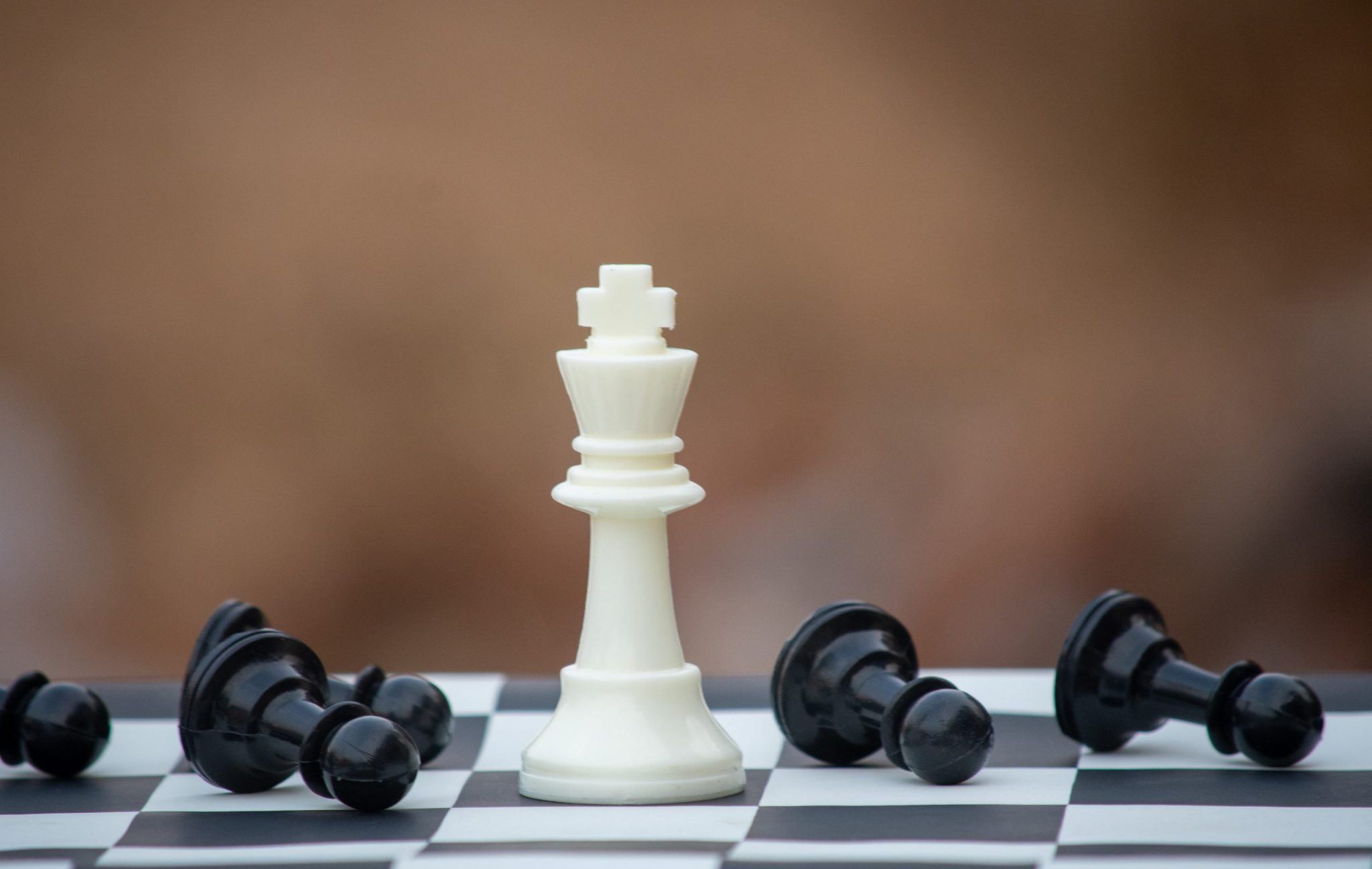 Play The Unusual Bird Opening