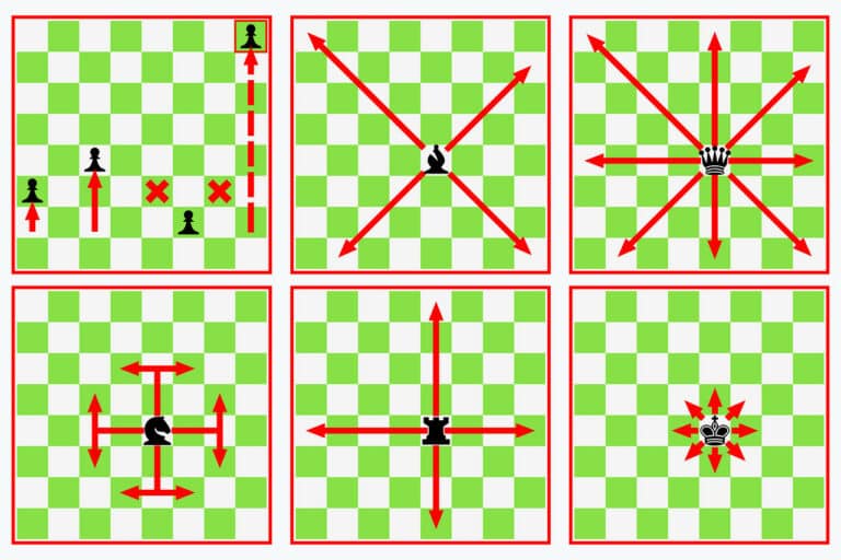 Chess Piece Moves : know how to move the 5 piece in the great chess