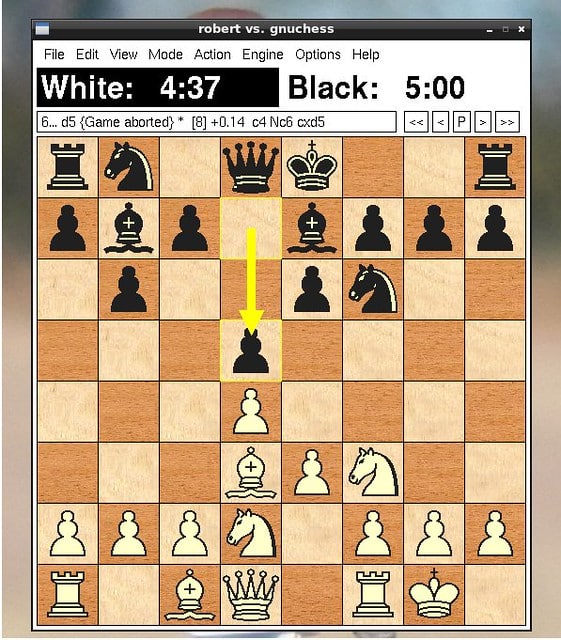 Chess Terms Learn The Most Basic And Important Chess Terms Chess Terms Learn The Most Basic And Important Chess Terms